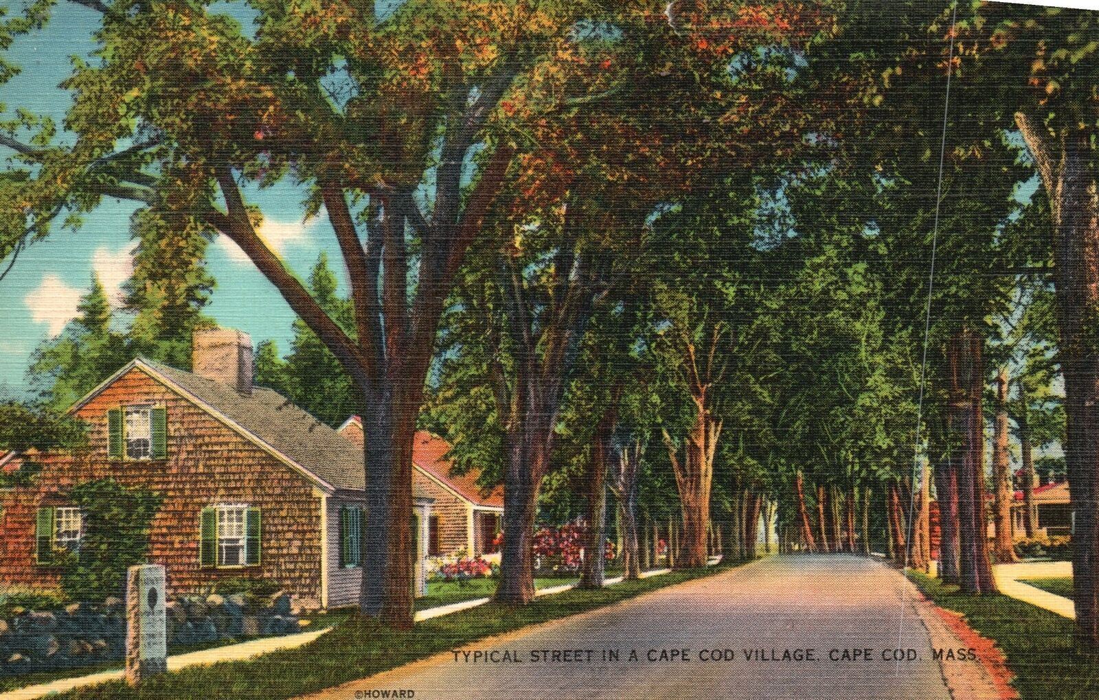 Vintage Postcard 1938 Typical Street In A Cape Cod Village ...