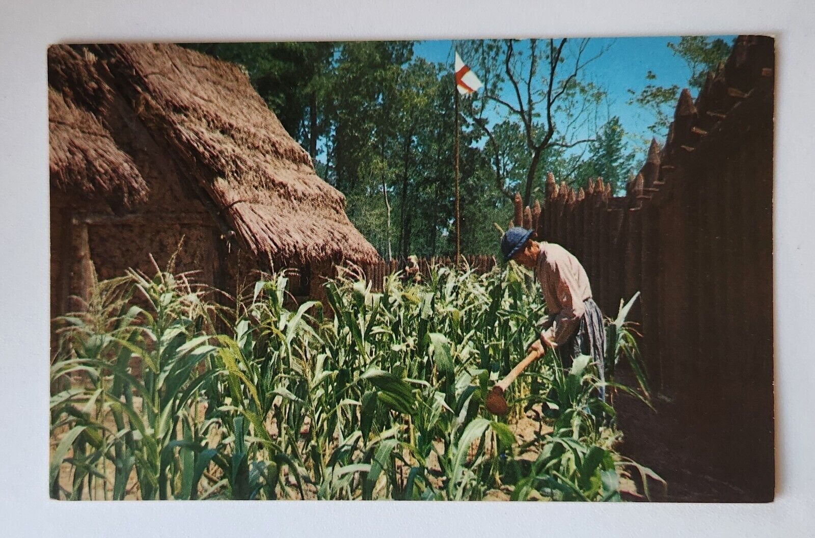 James Fort Corn Patch Cabin Stockade Jamestown VA Postcard | United ...