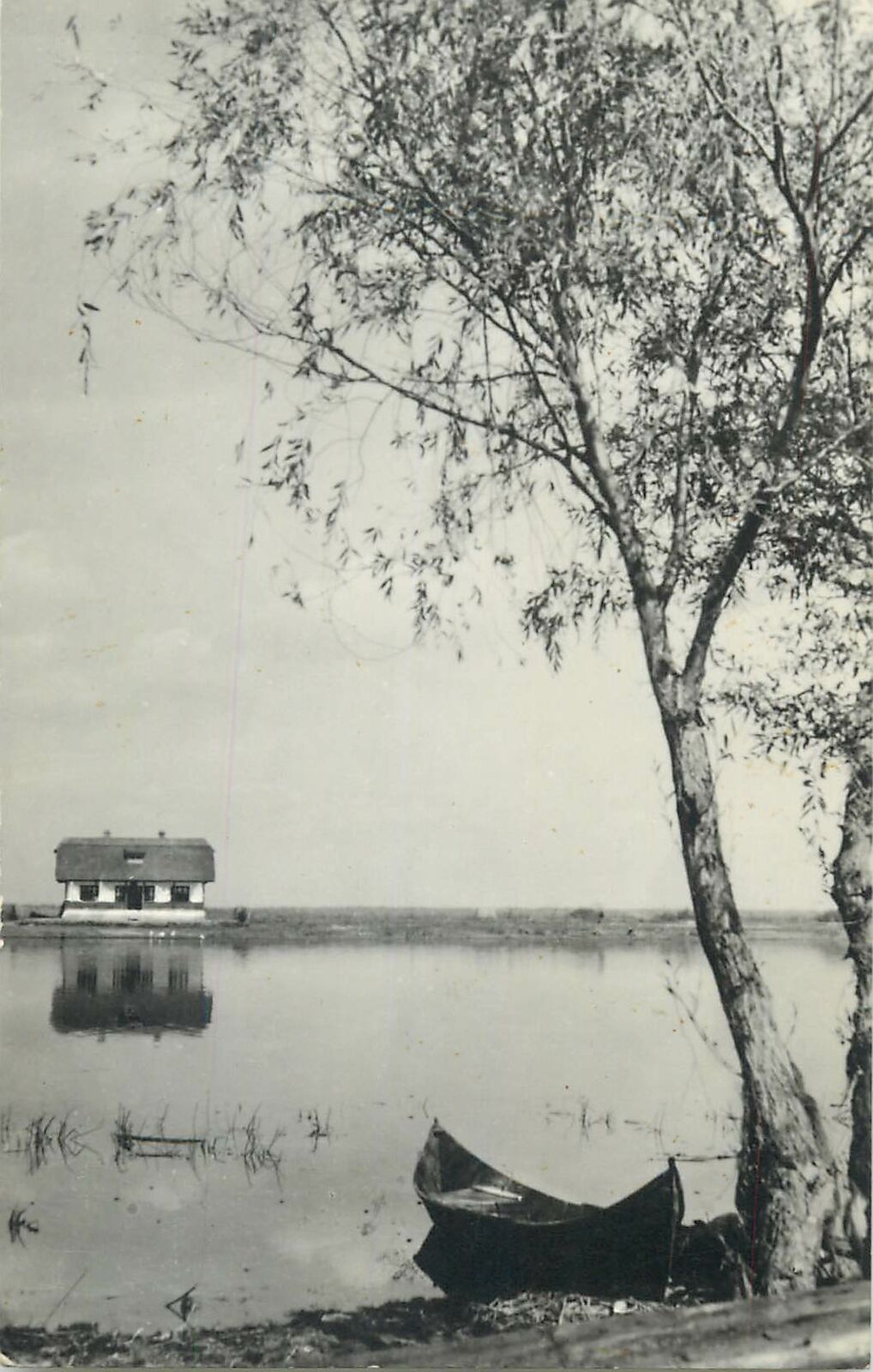 Romania carte postala Delta Dunarii bratul Sulina vedere timbru Grigore ...