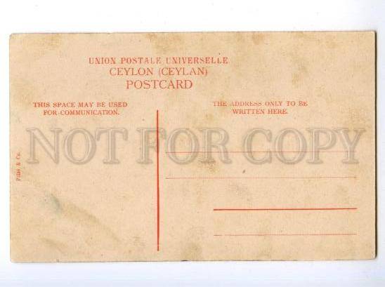 173811 CEYLON nude Rodiya Girls Vintage postcard | Topics - Cultures ...