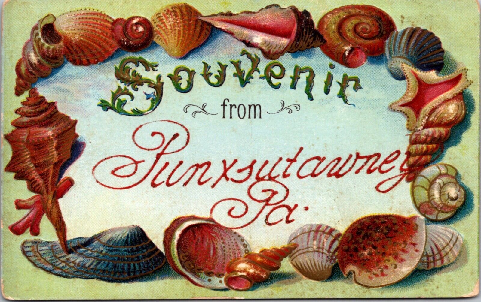 Seashell Border Postcard Large Letter Souvenir from Punxsutawney ...