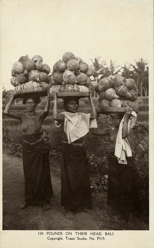 indonesia, BALI, Topless Nude Women Head Transport (1920s) Tosari ...