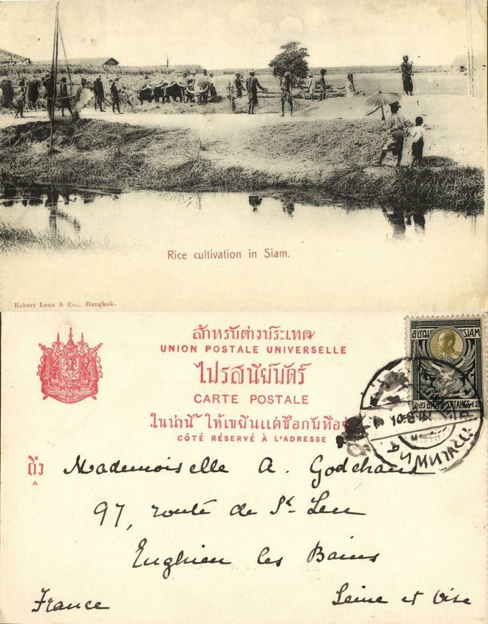 siam thailand, Rice Cultivation, Native Siamese People at Work, Ox ...