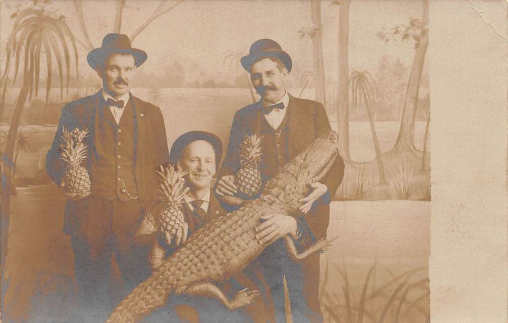 Men posing with Pineapple and Taxidermy Alligator Studio Real Photo PC ...