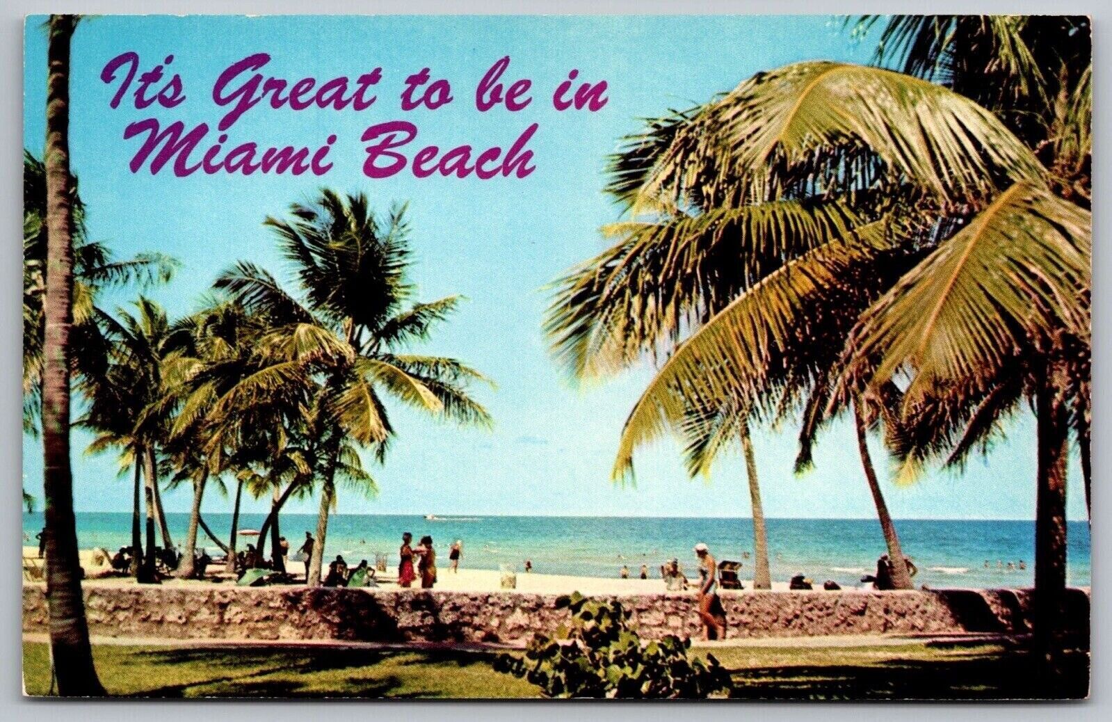 Miami Beach Florida Palms Shoreline Oceanfront Coast Ocean Vintage VNG ...