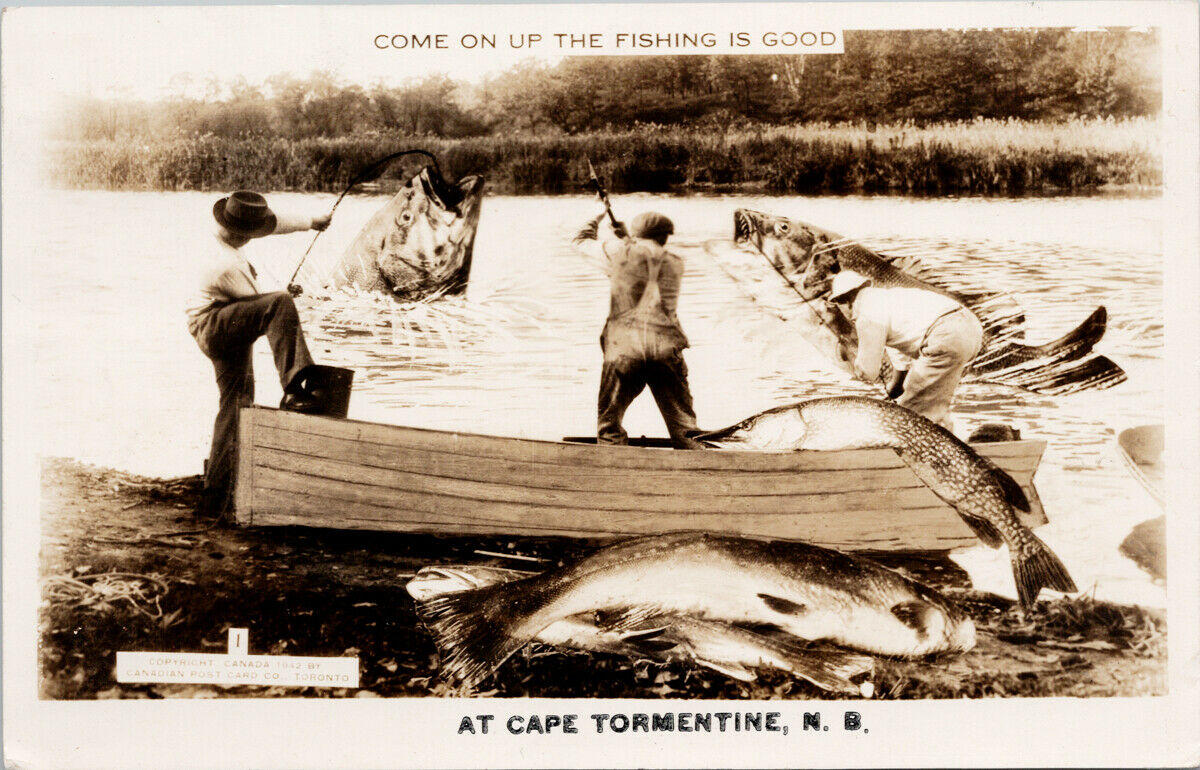 Cape Tormentine NB New Brunswick Fishing Exaggeration Fish RPPC 1948 ...