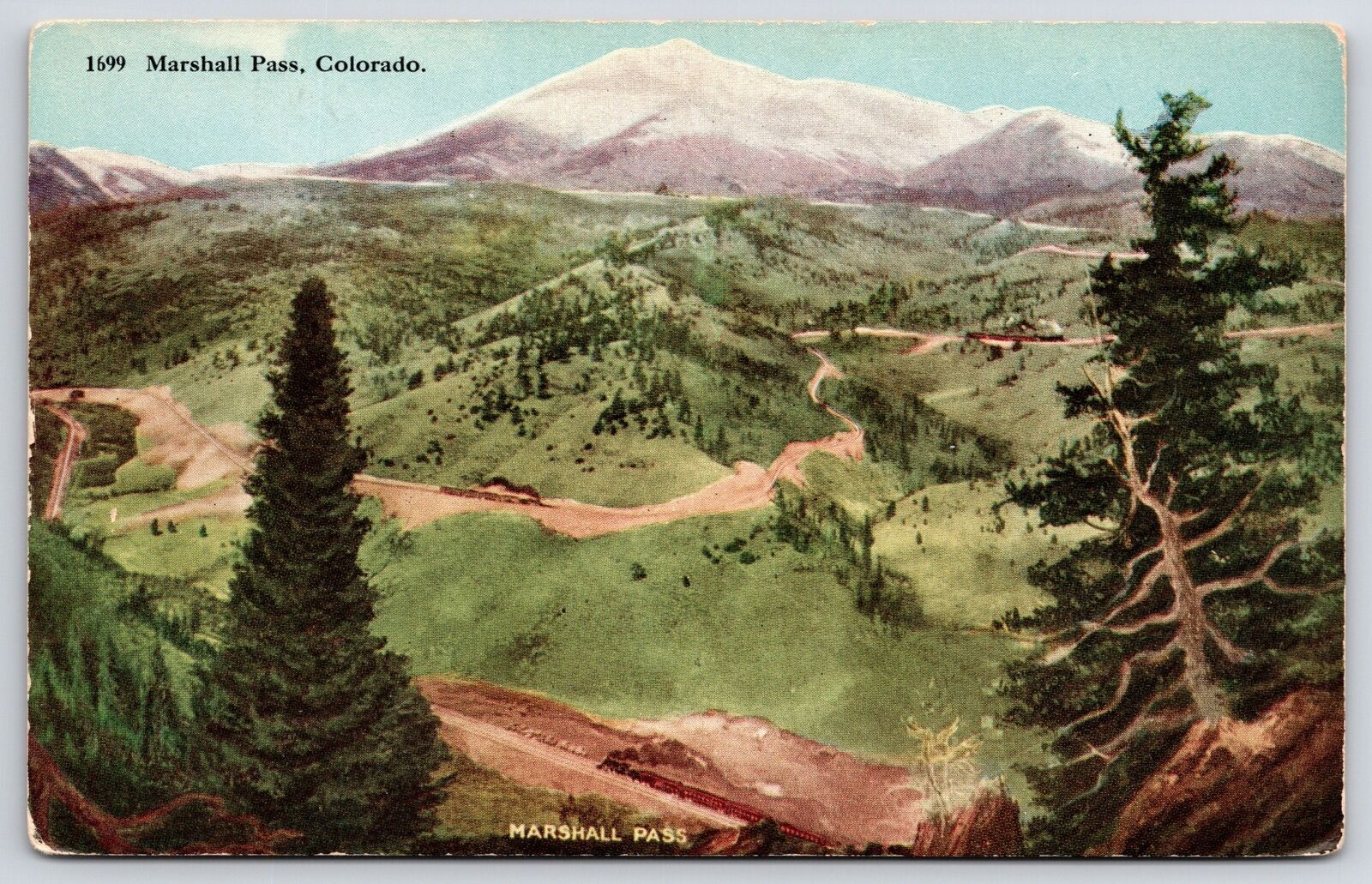 Marshall Pass Colorado CO Pine Trees Hiking Trail Pathways Mountian ...