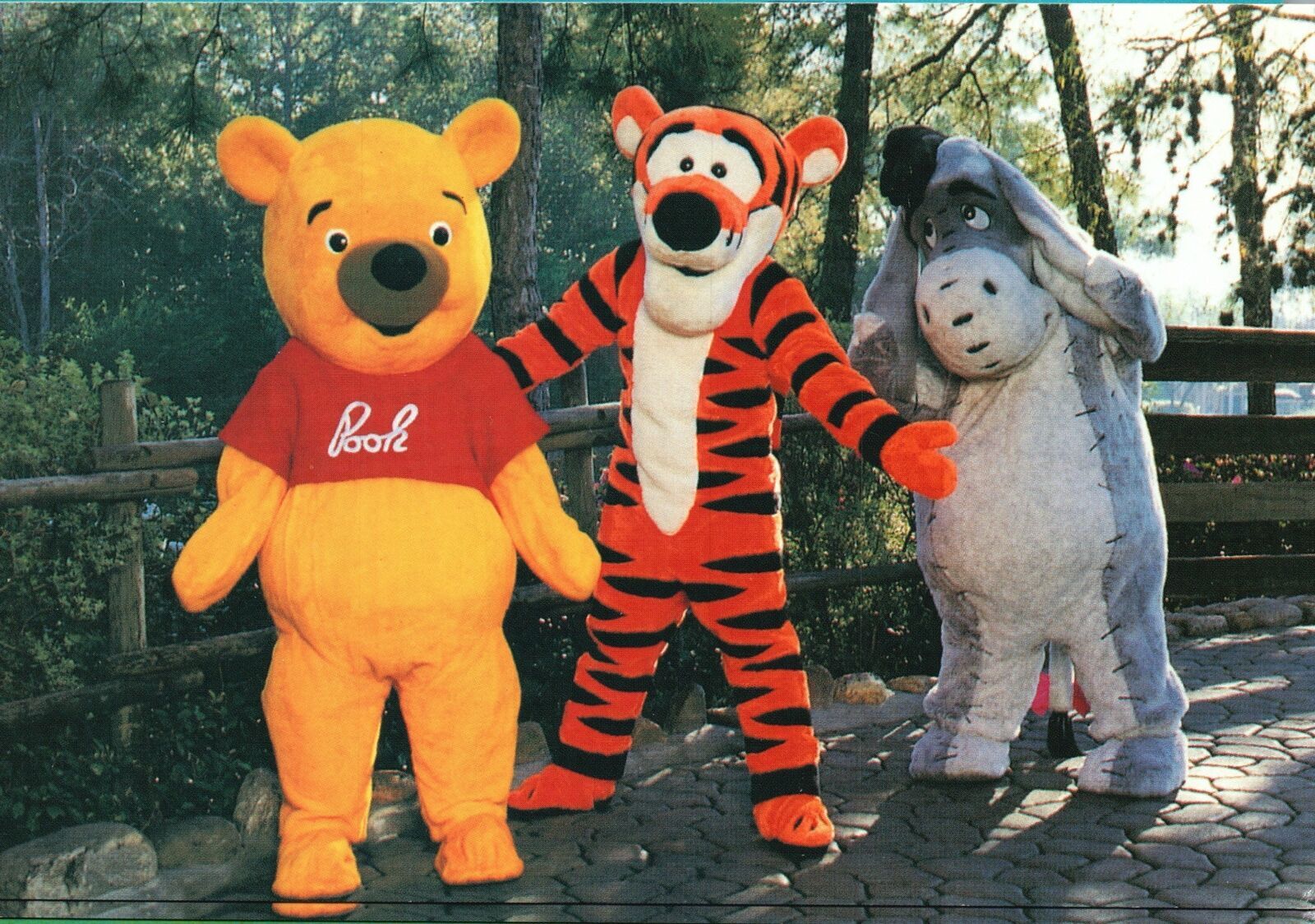 Disney - Winnie the Pooh & Tigger Welcome Guests Magic Kingdom Park ...