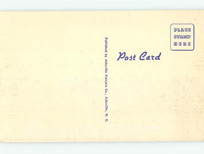 Linen Risque DOG Watches Sexy Girl in Bathing Suit DO Laundry Hl3824 ...