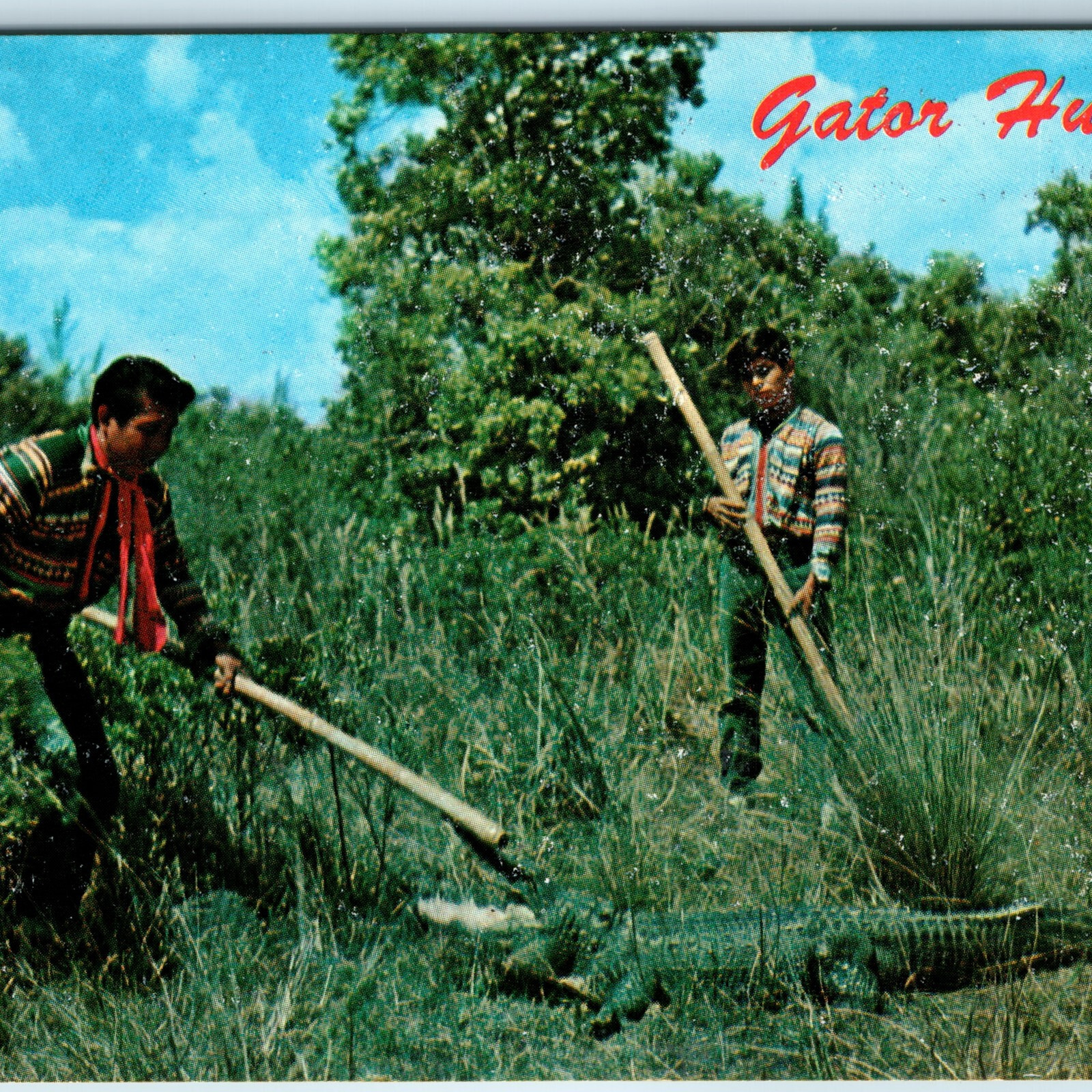 c1960s So. FL Everglades Gator Hunt Alligator Crocodile Seminole ...