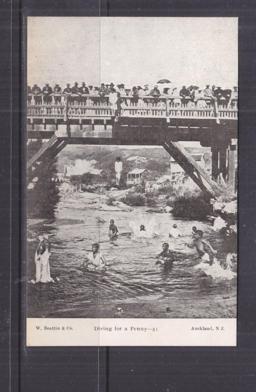 New Zealand, Diving for a Penny, Maori Children, C1920 Ppc., Unused ...