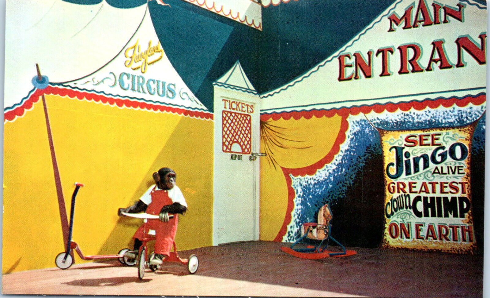 1960s Jingo the Clown Chimp Fairyland Zoo Custer SD Postcard | United ...