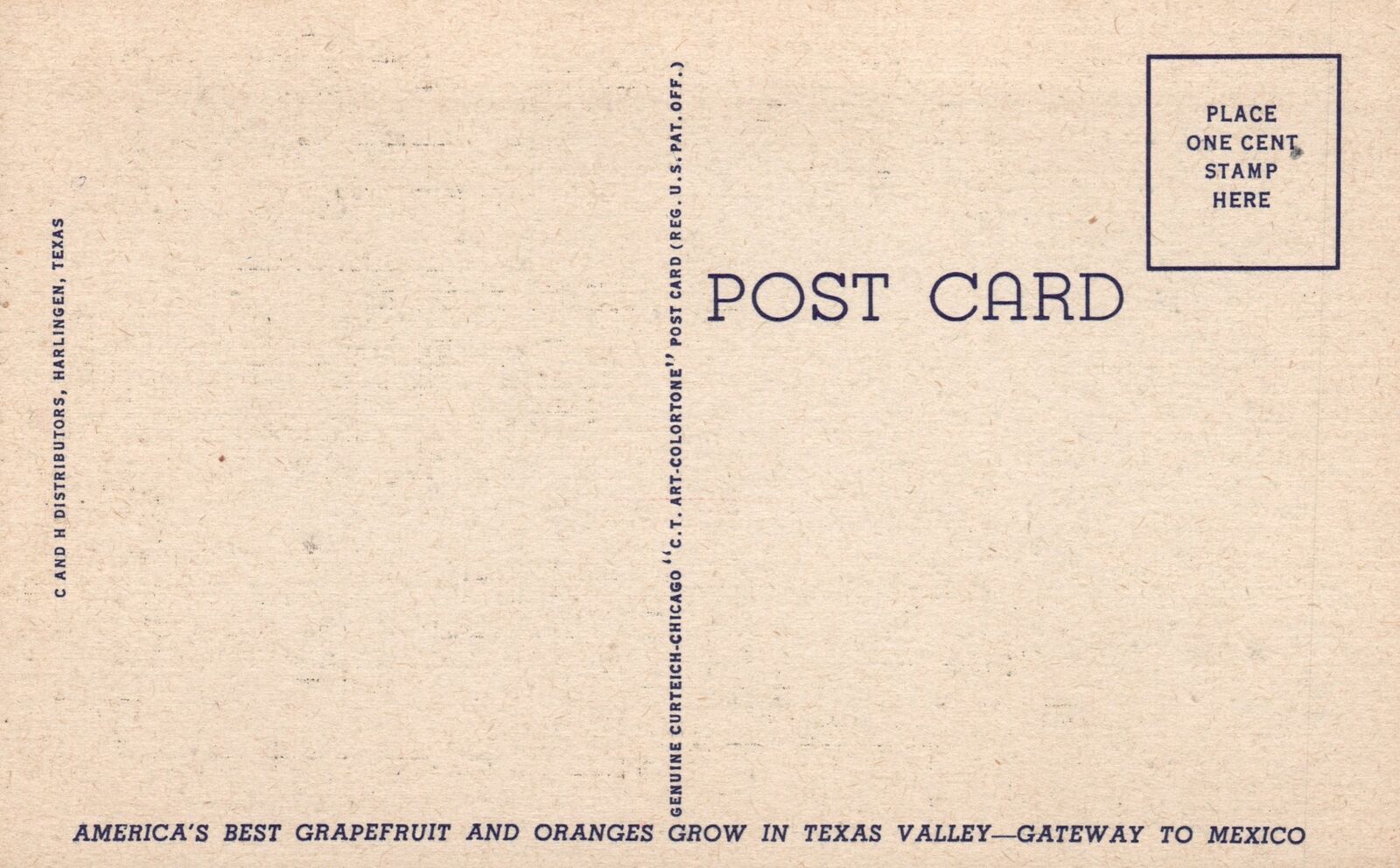 Vintage Postcard 1920's Stately Palms Trees Lower Rio Grande Valley of ...