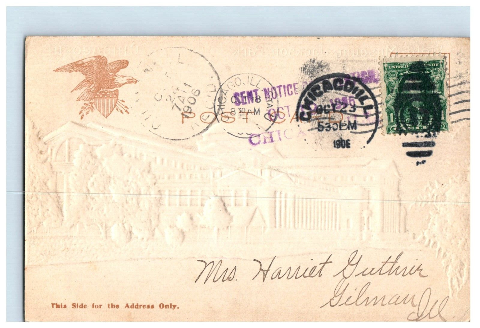 1906 Embossed Mica Field Museum Jackson Park Chicago. Postcard P225E ...