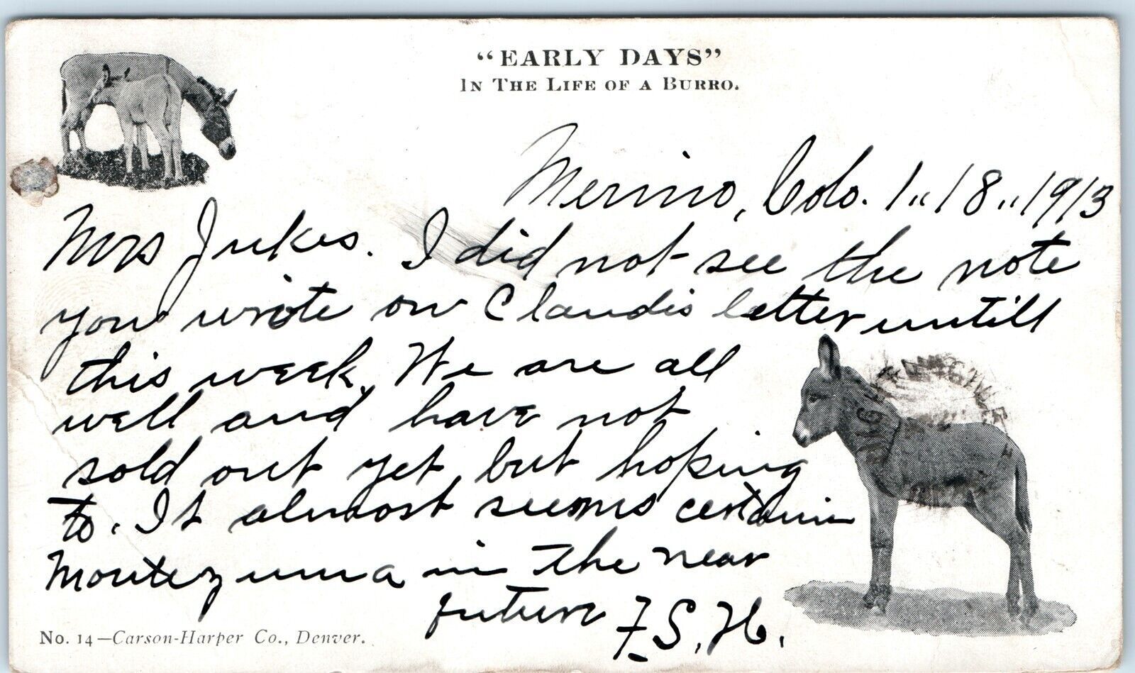 c1910s Early Days Burro Donkey Carson Harper PC No Platte & Denver RPO ...