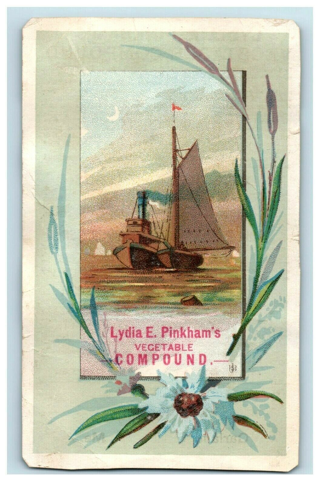1880s Lydia E. Pinkham's Vegetable Compound Quack Medicine Lot Of 2 ...