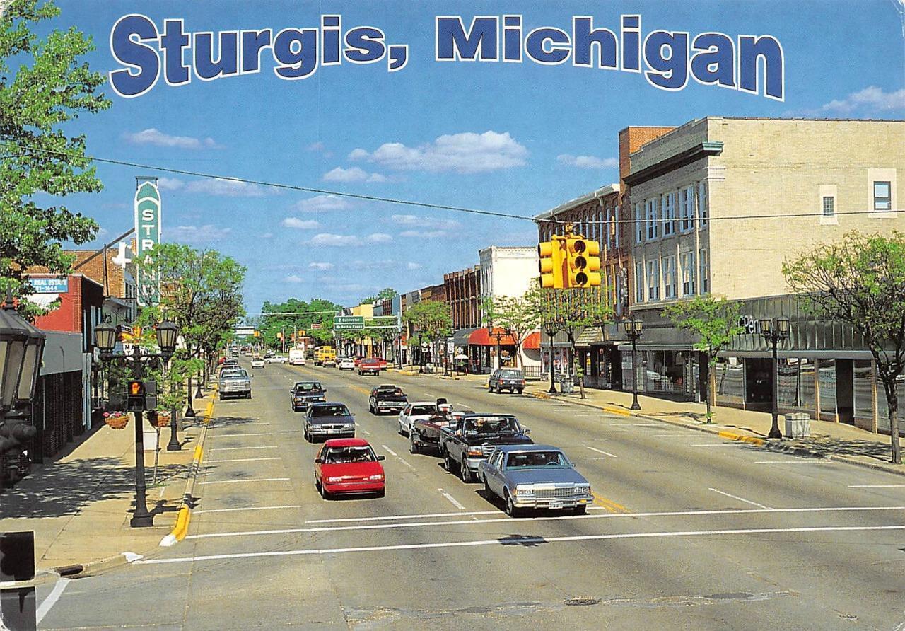 2~4X6 Postcards Sturgis, MI Michigan STREET SCENE~Strand & BIRD'S EYE ...