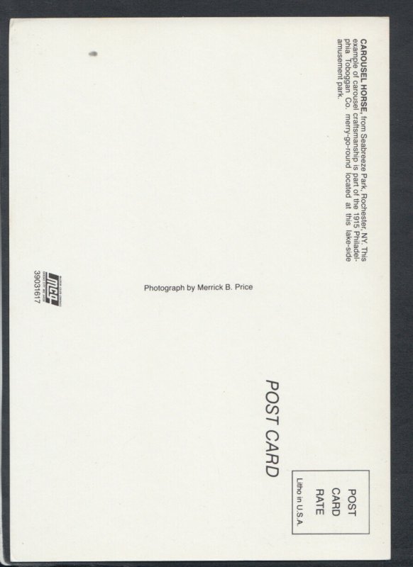 Fairground Postcard - Carousel Horse, Seabreeze Park, Rochester, New ...