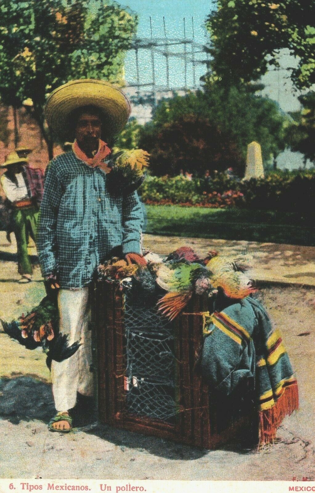 Mexico Tipos Mexicanos Un Pollero Chicken Seller Vintage Postcard 08.93 ...