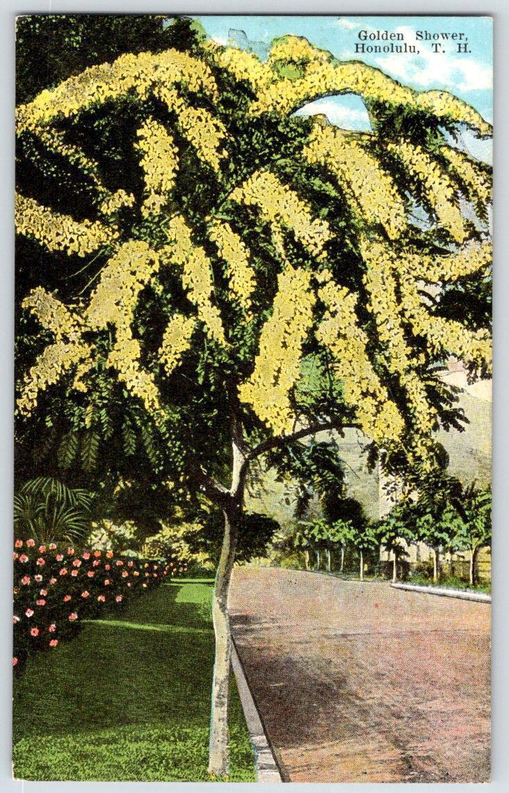 1920'S Golden Shower Tree Hawaii Territory Island Curio CO Postcard ...
