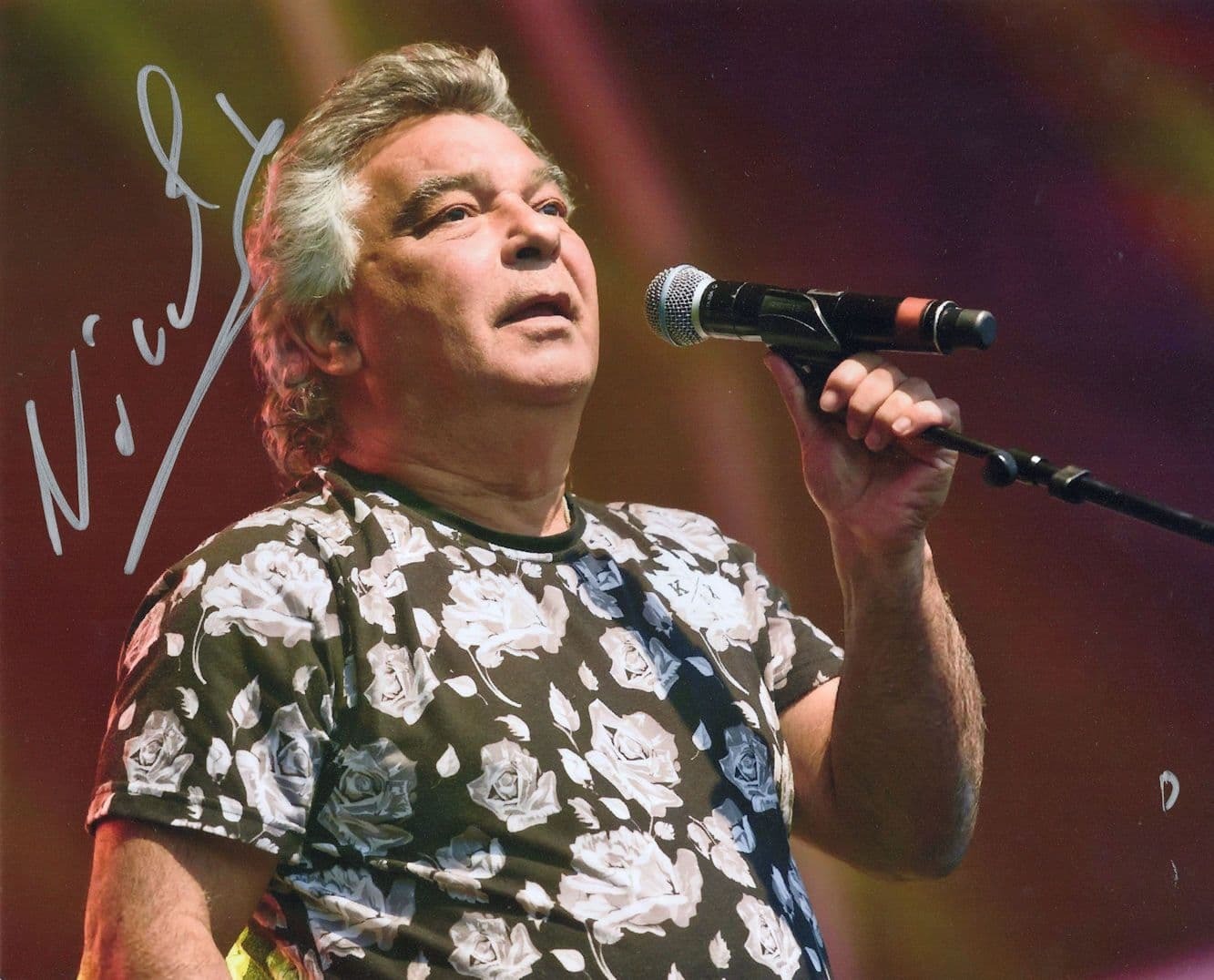 Nicolas Reyes The Gypsy Kings Tonino Baliardo 10x8 Hand Signed Photo ...