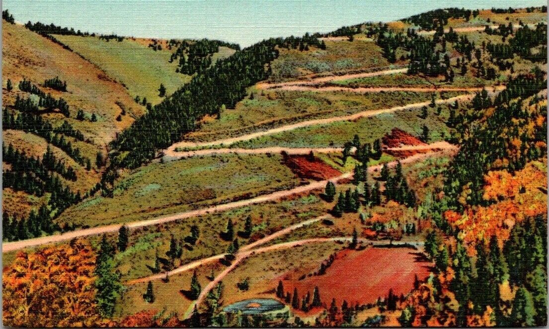 Vintage New Mexico Postcard - Red River - Red River Pass | Latin ...