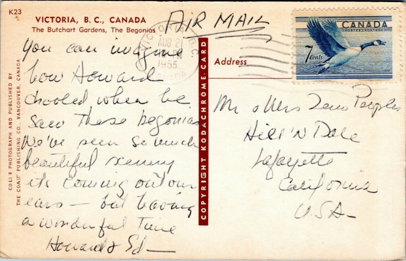 postcard Victoria BC Canada - Butchart Gardens - Begonias | Canada ...