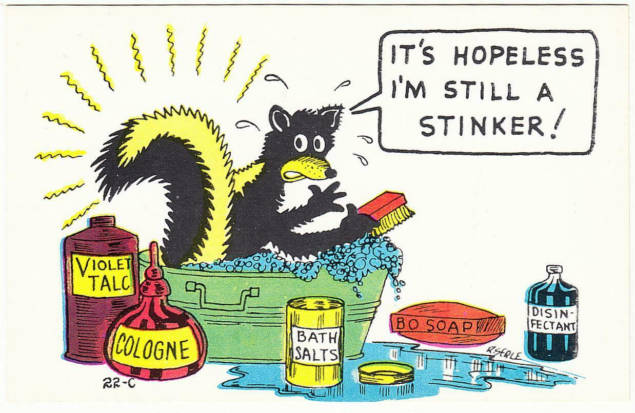 It's Hopeless I'm Still a Stinker Skunk in Bath Comic Postcard Laff ...