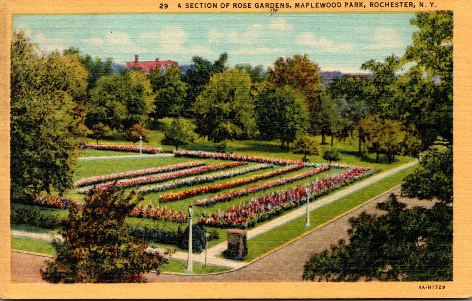 New York Rochester Maplewood Park Section Of Rose Gardens 1948 Curteich ...
