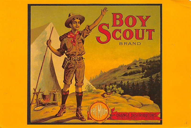 Boy Scout Brand, Orange Box Label Sacramento, California, USA Unused ...