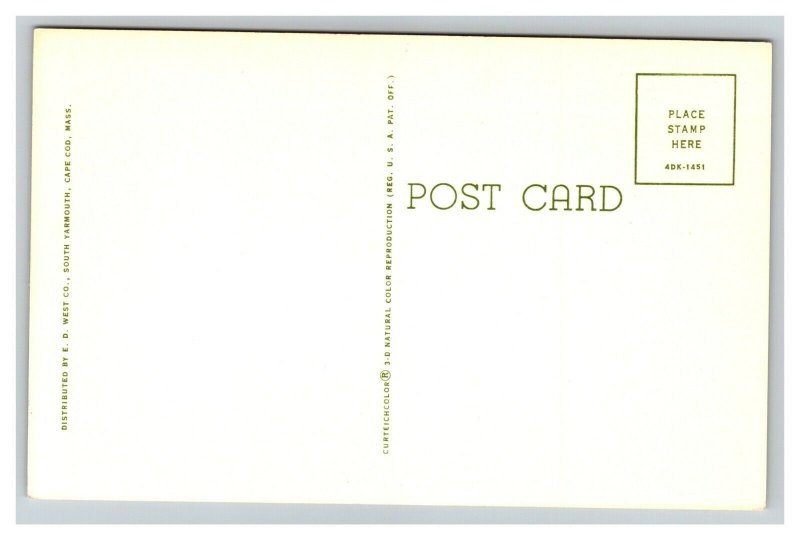 Vintage 1960's Postcard Jackie Kennedy Cape Cod's Most Famous Visitor ...