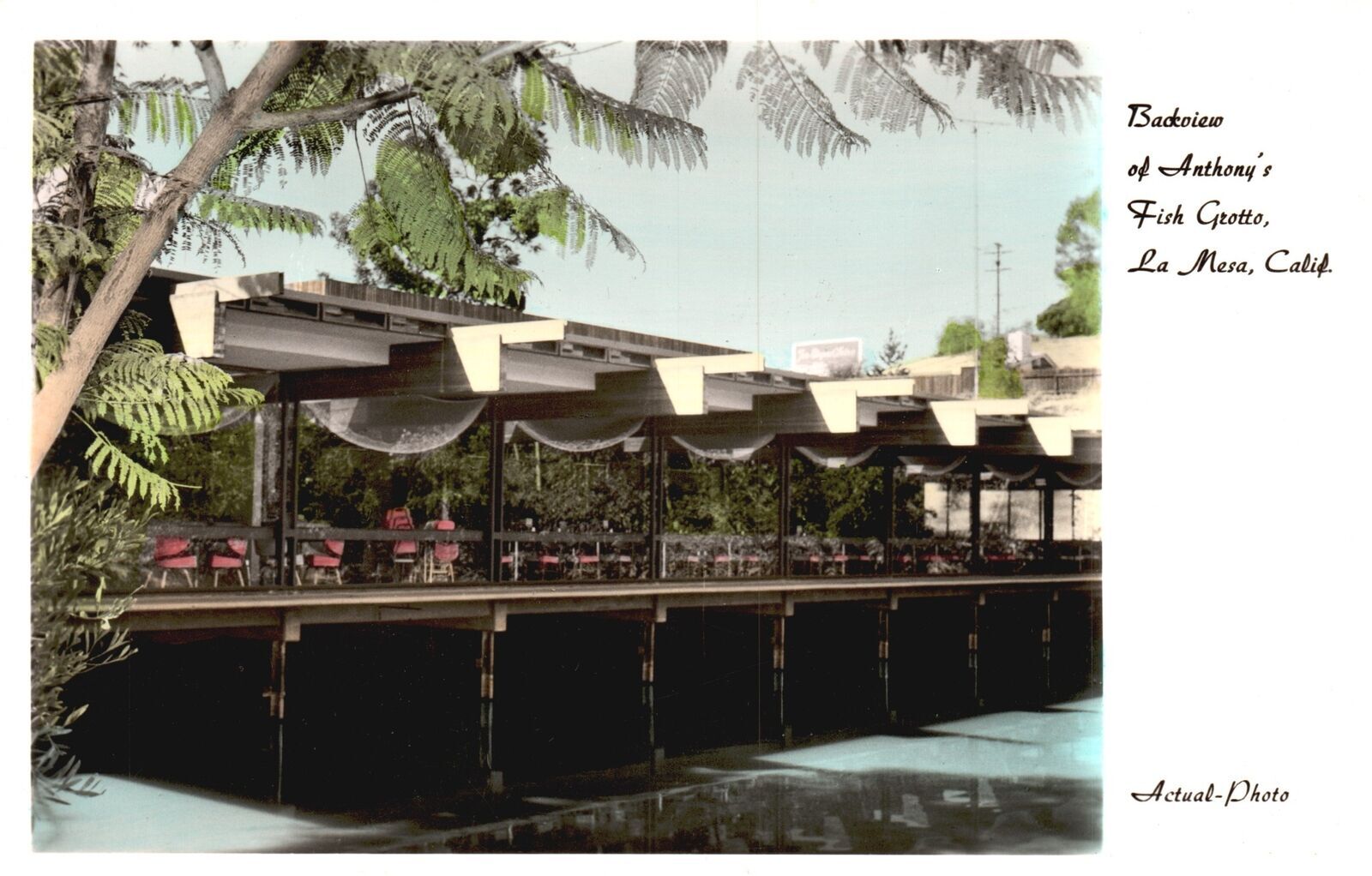 Vintage Postcard Backview Anthony's Fish Grotto La Mesa California ...