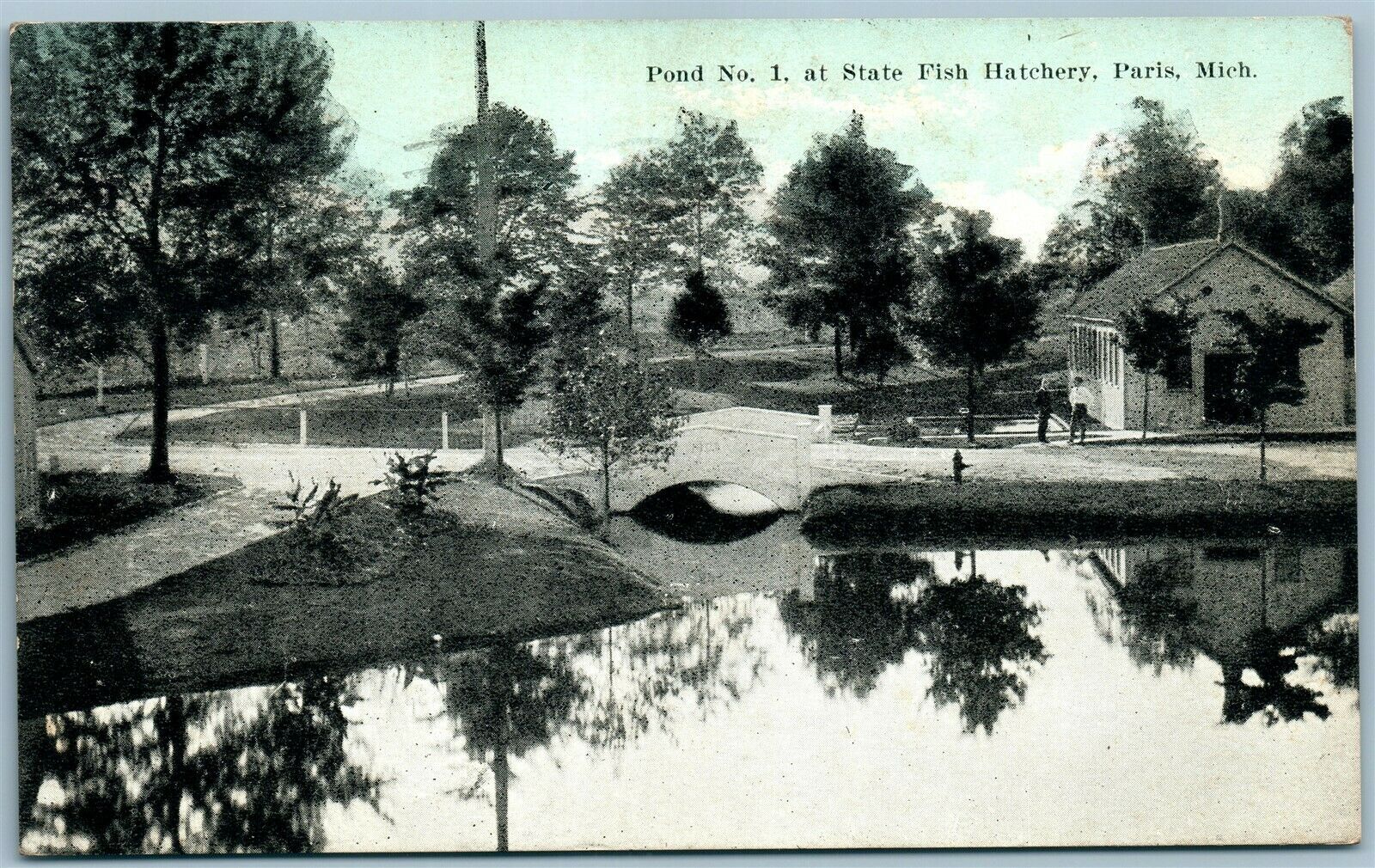 Paris MI State Fish Hatchery Antique Postcard | United States ...