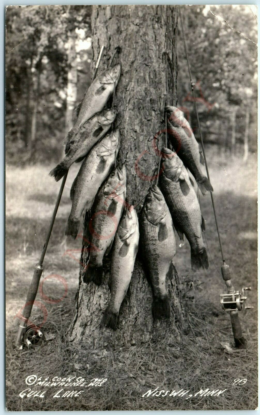 1944 Nisswa, Minn. Gull Lake RPPC Fish Catch Real Photo Postcard Bass ...