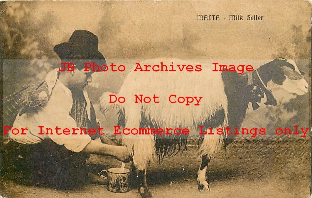 Native Ethnic Culture Costume, Malta, Milk Seller, Man Milking a Goat ...