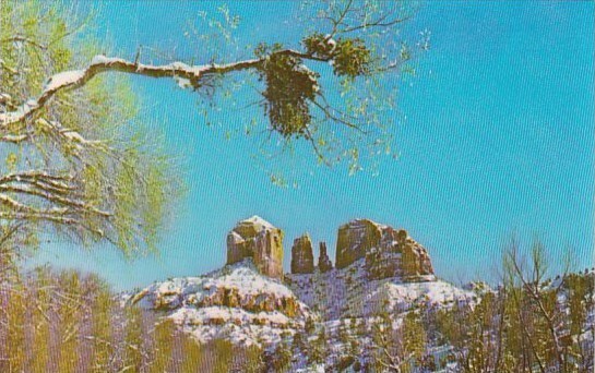 Arizona Oak Creek Canyon Mistletoe Over Courthouse | United States ...