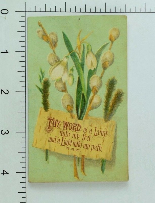 1878 Free Baptist Sabbath School Windham Center Crocus Flowers Bible ...