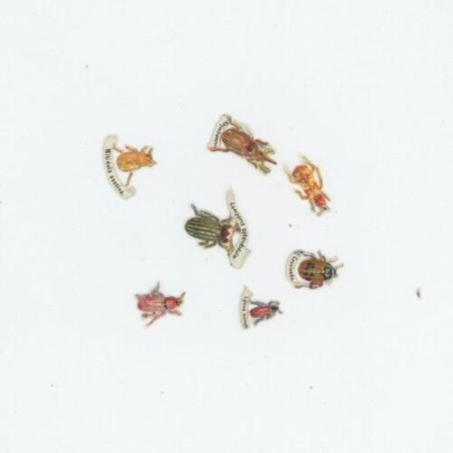 1880's-90's Victorian Die Cut Bugs Insects Lot Of 21 F81E | Ephemera ...