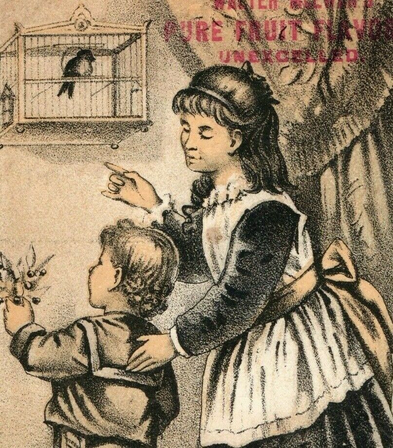 1870-80's Walter McEwan's Pure Fruit Flavors Victorian Trade Card P140 ...