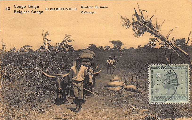 Elizabethville British Congo Africa Postally Used Postal Card | Africa ...