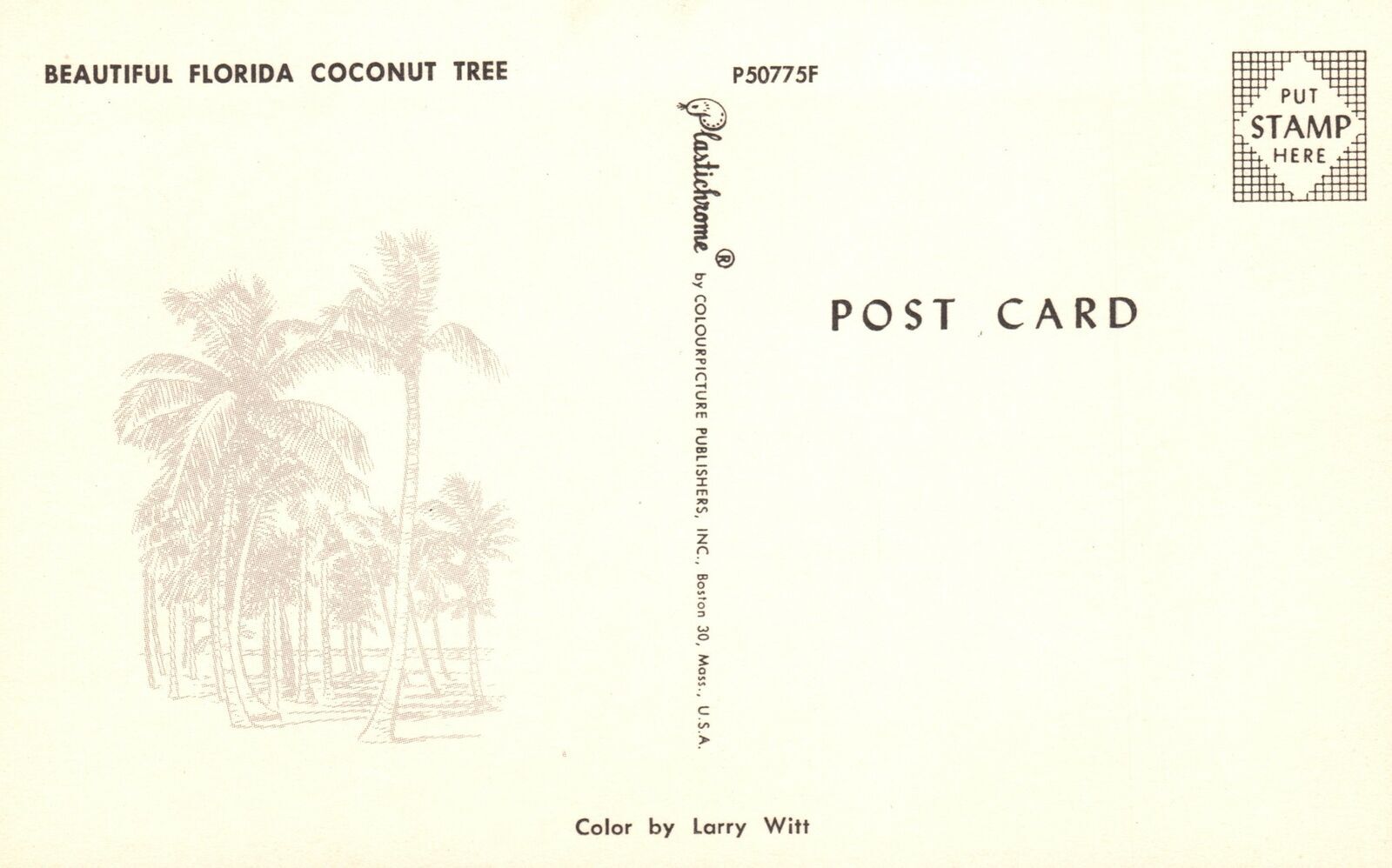 Vintage Postcard Beautiful Coconut Palm Tree Tropical Lowland Planting ...