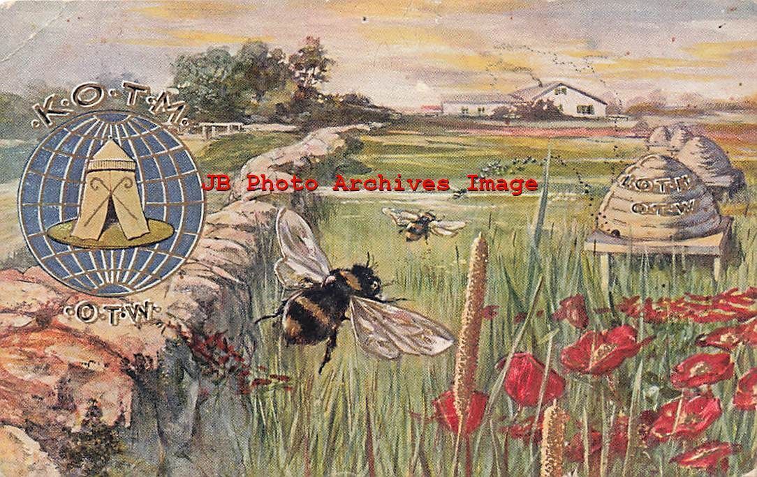 Knights of the Maccabees, Honey Bees Flying to the LOTM OTW Bee Hive ...