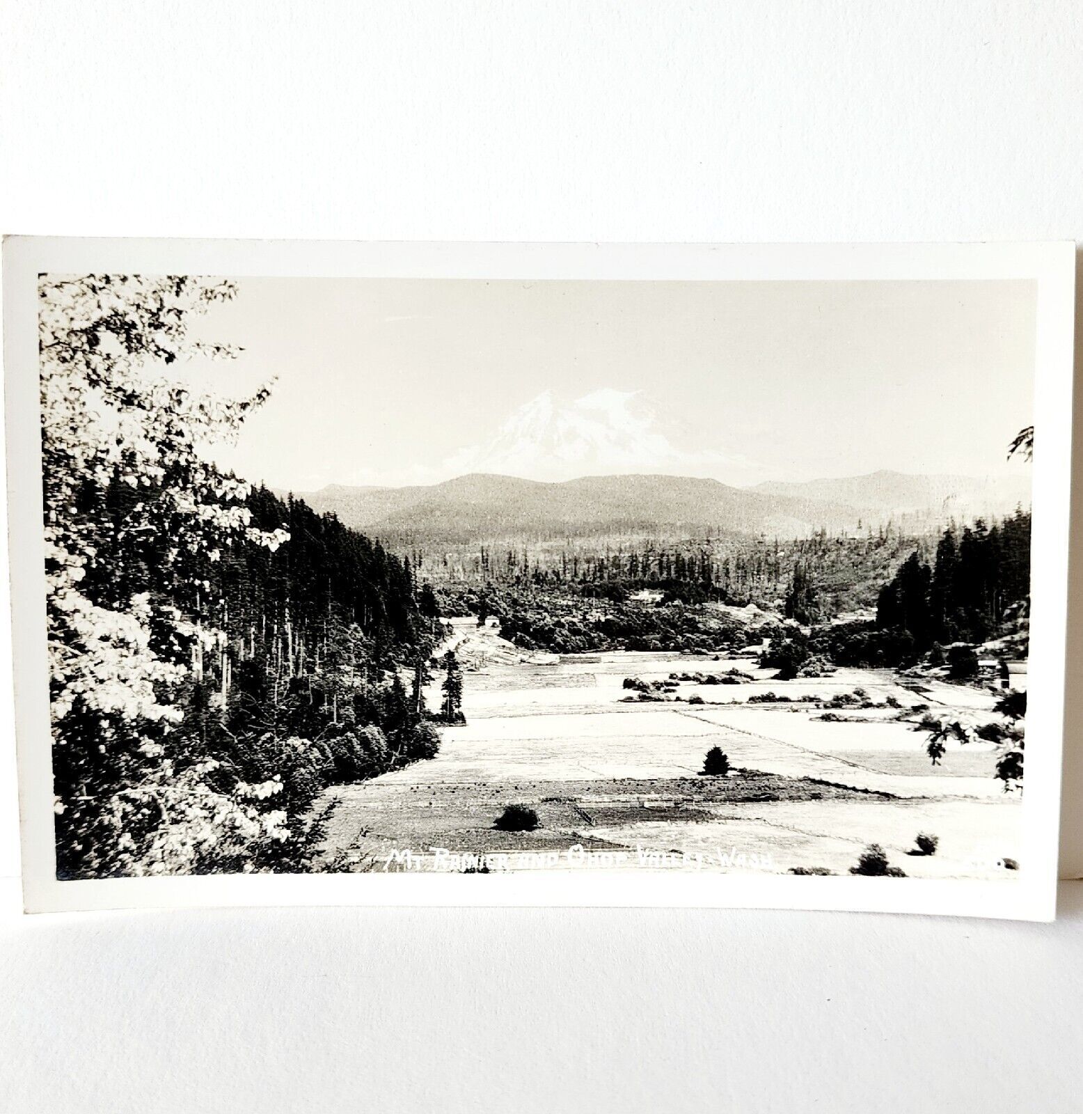RPPC Mount Rainier From Ohop Valley Ellis 1920s Washington Pacific NW ...