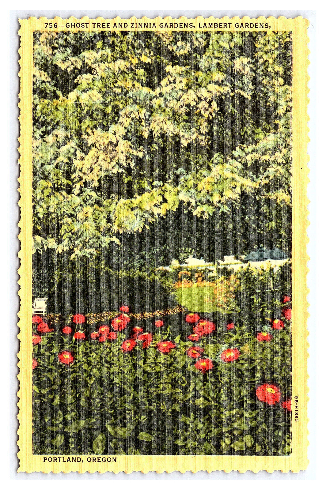 Ghost Tree & Zinnia Gardens Lambert Gardens Portland Oregon Postcard ...
