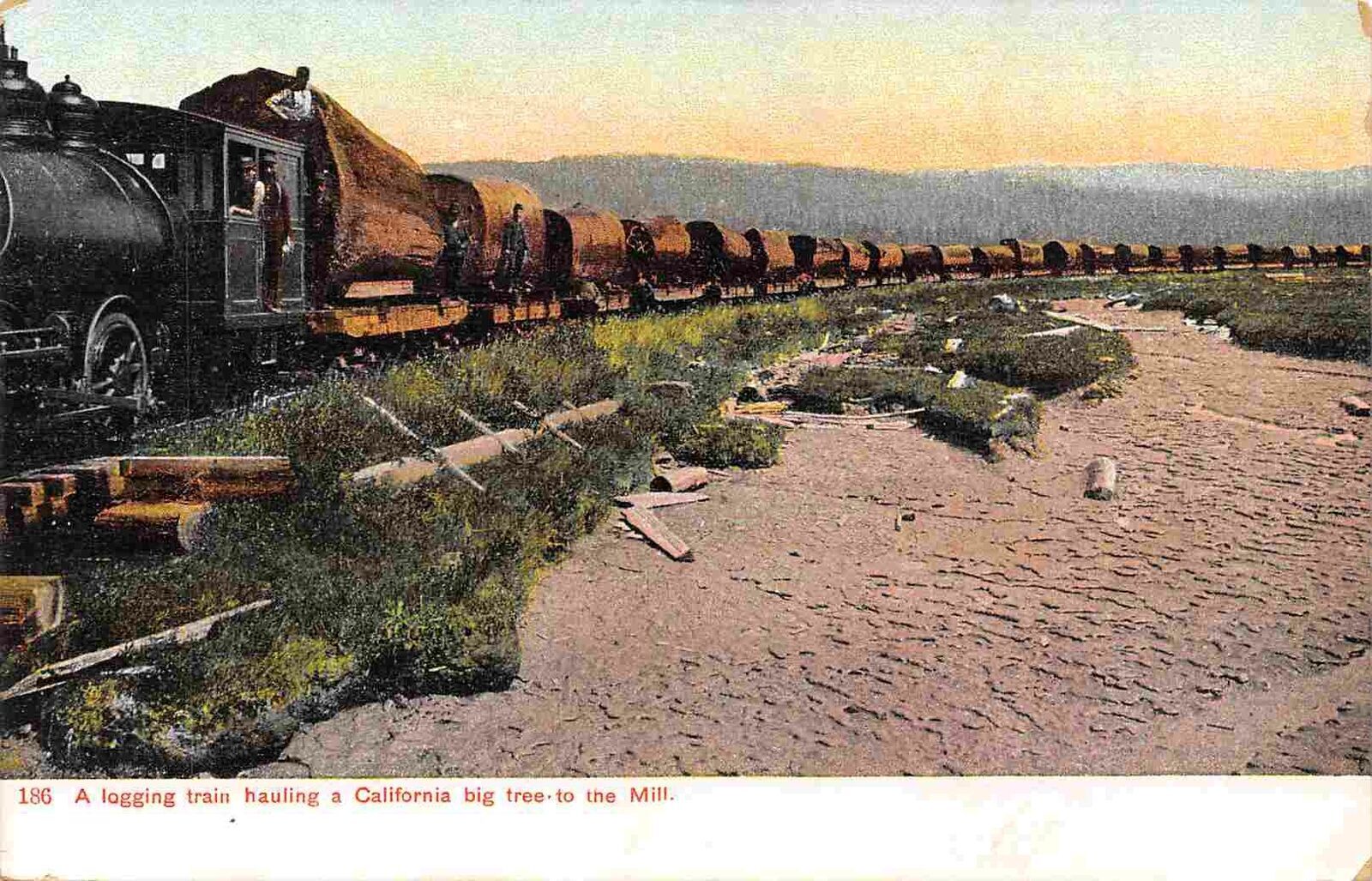 Logging Train Hauling California Big Tree to Mill 1910c postcard ...