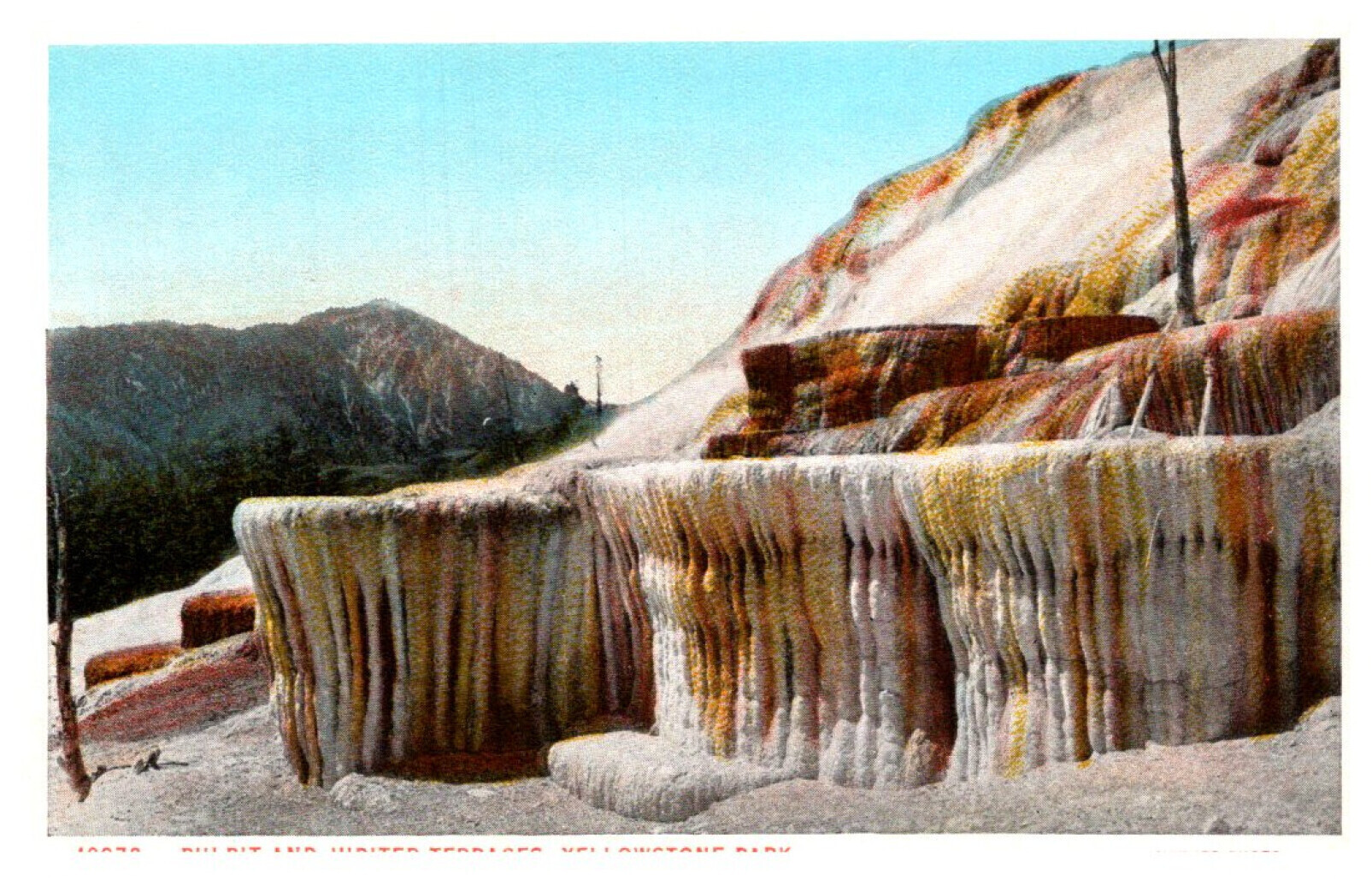 Yellowstone National Park, J.E. Haynes, Pulpit and Jupiter Terraces ...