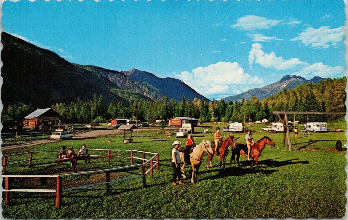 Murphy's Sun Valley Ranch Revelstoke BC Horses Ponies Vintage Postcard ...