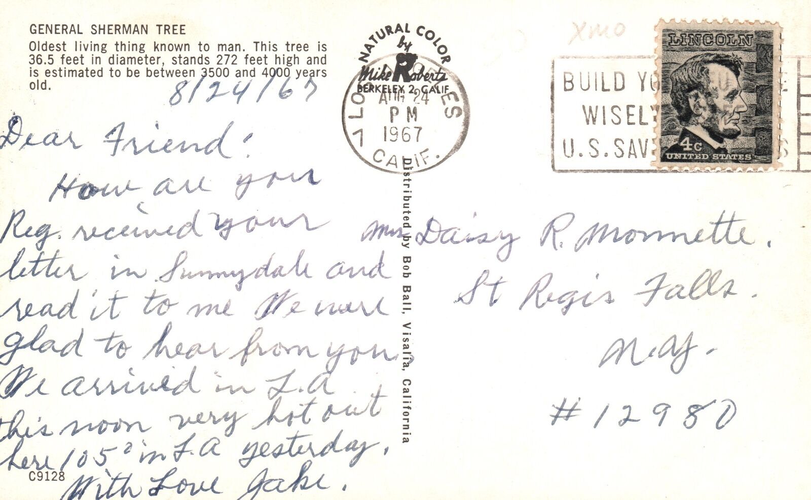 1967 General Sherman Tree Oldest Living Giant Sequoia Calif. CA Vintage ...