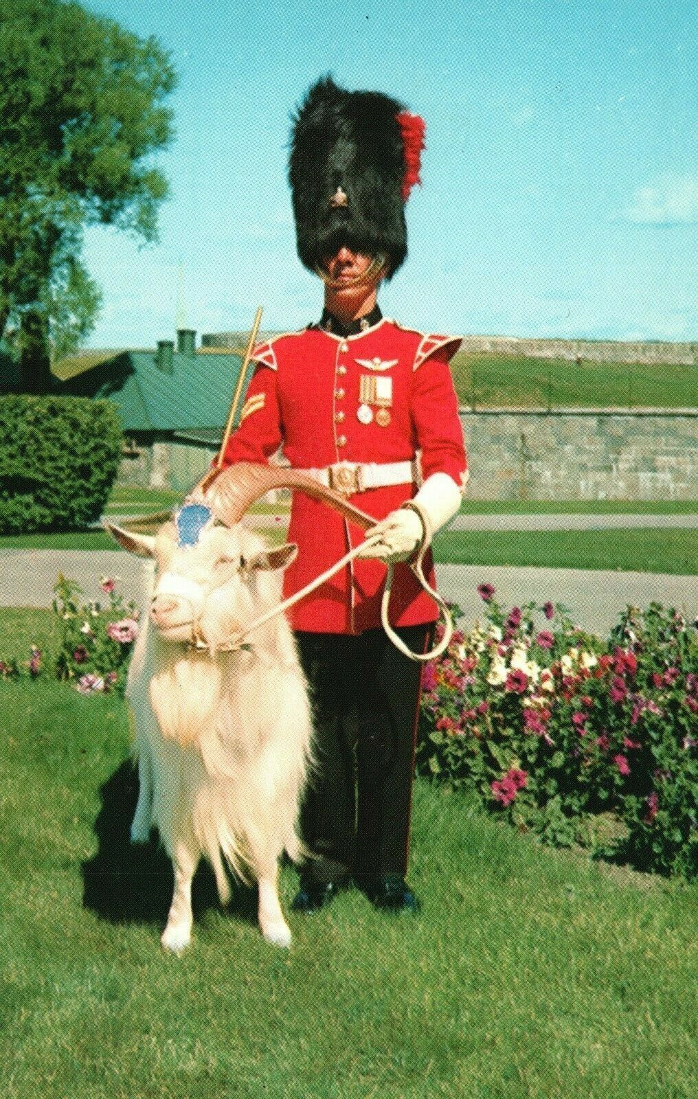 Vintage Postcard Le caporal Attire a la Garde de Baptiste La Mascotte ...