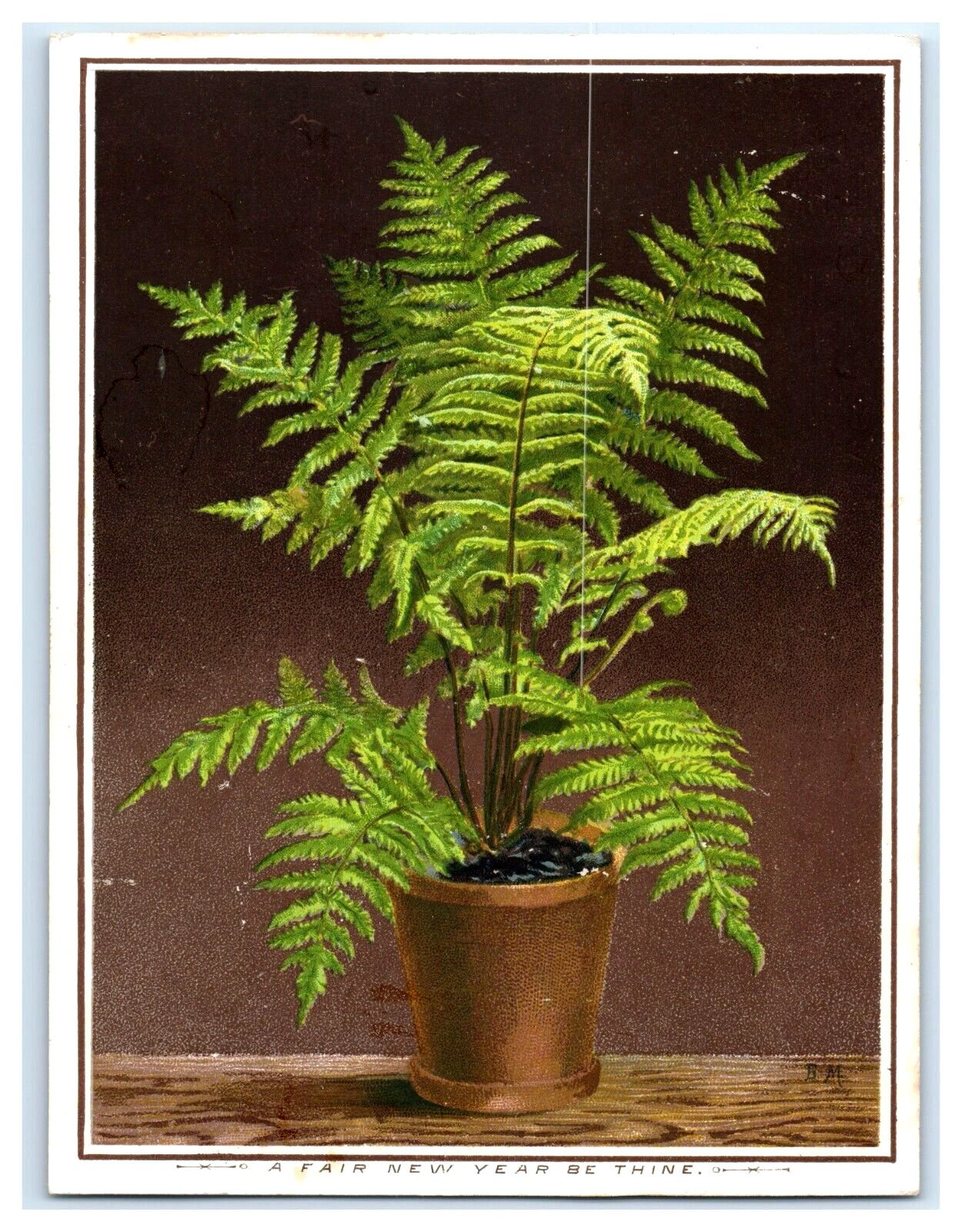 1880s Victorian Fair New Year Be Thine Card Lovely Fern #A | Ephemera ...
